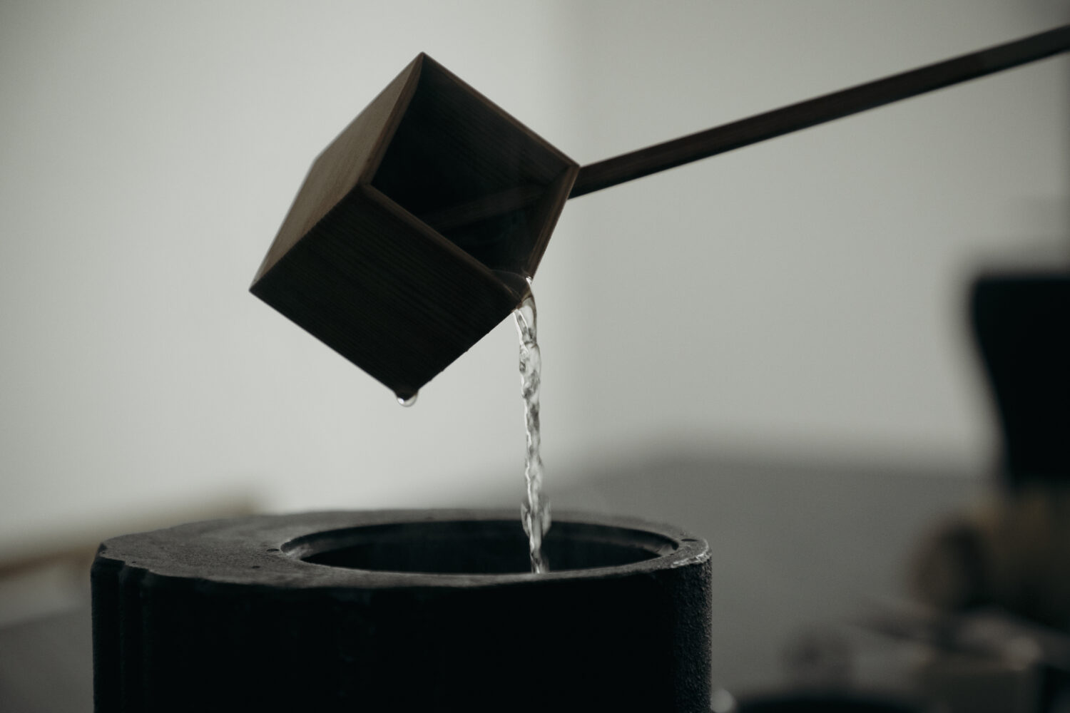 博多の静寂に新たな文化発信地が誕生。「SABOE HAKATA」「BASE GALLERY HAKATA」がオープン | フクリパ