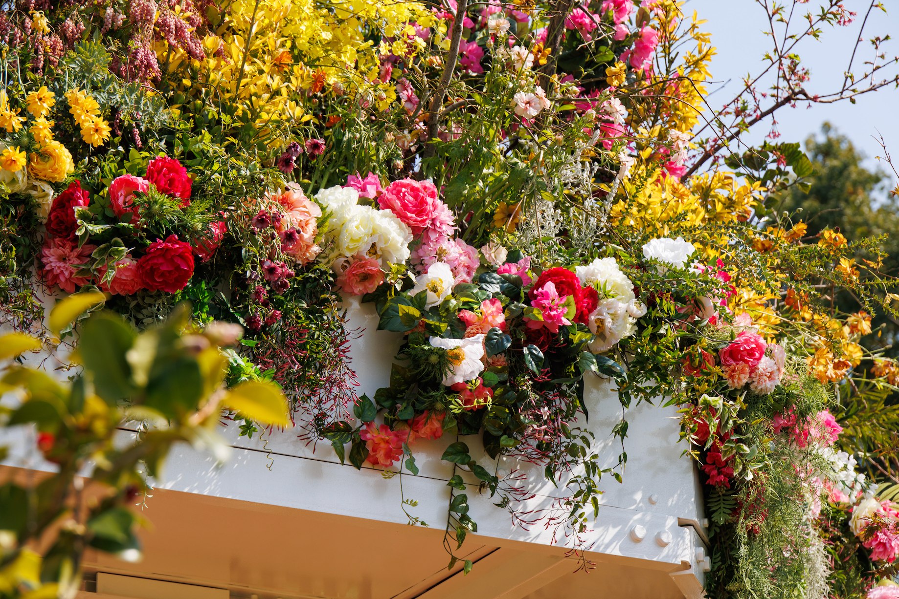 華やかに開幕「Fukuoka Flower Show Pre-Event」初日レポート！27日のフラワーセールも要チェック | フクリパ